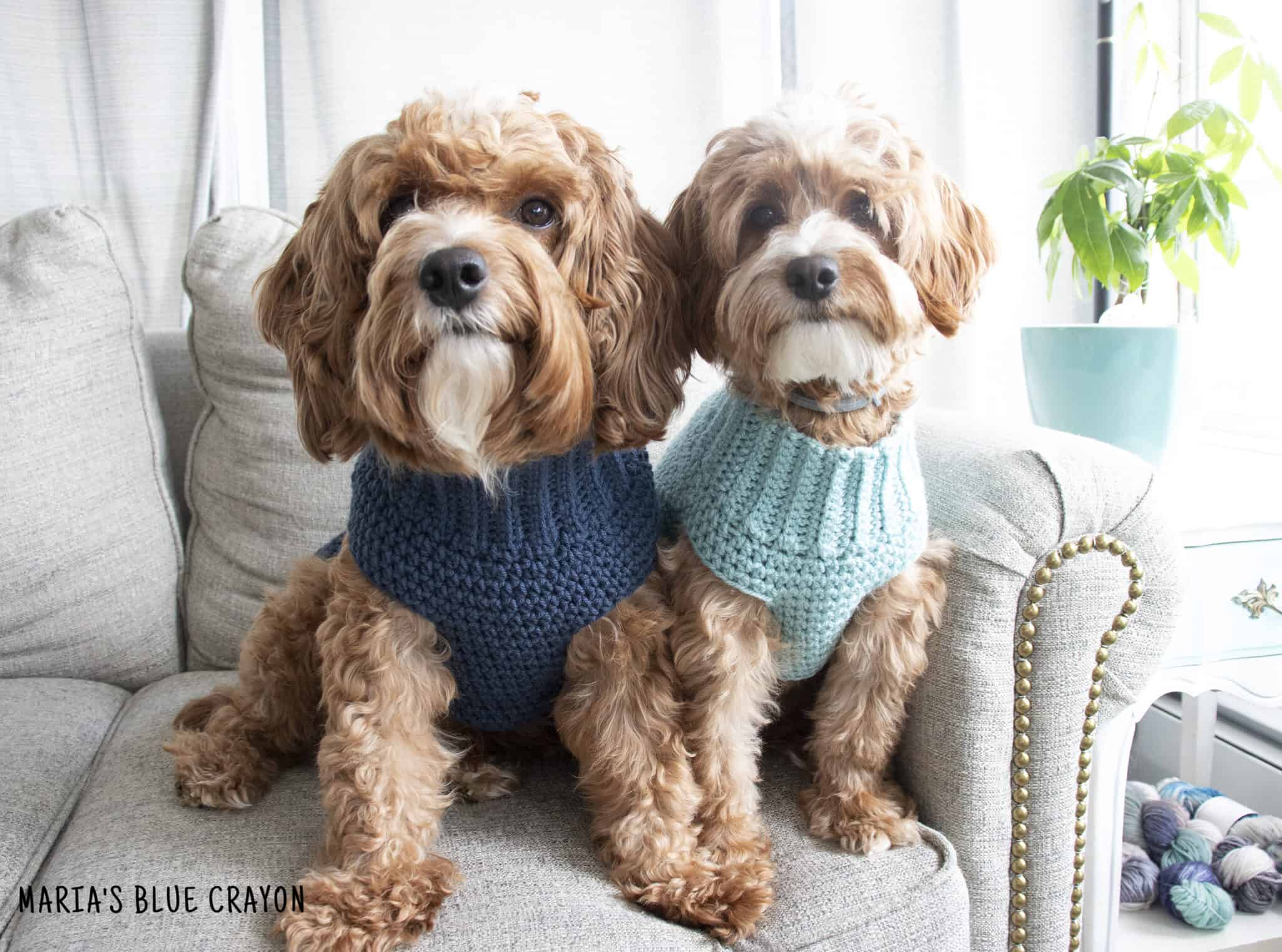Crochet Dog Sweater Free Pattern - Maria's Blue Crayon